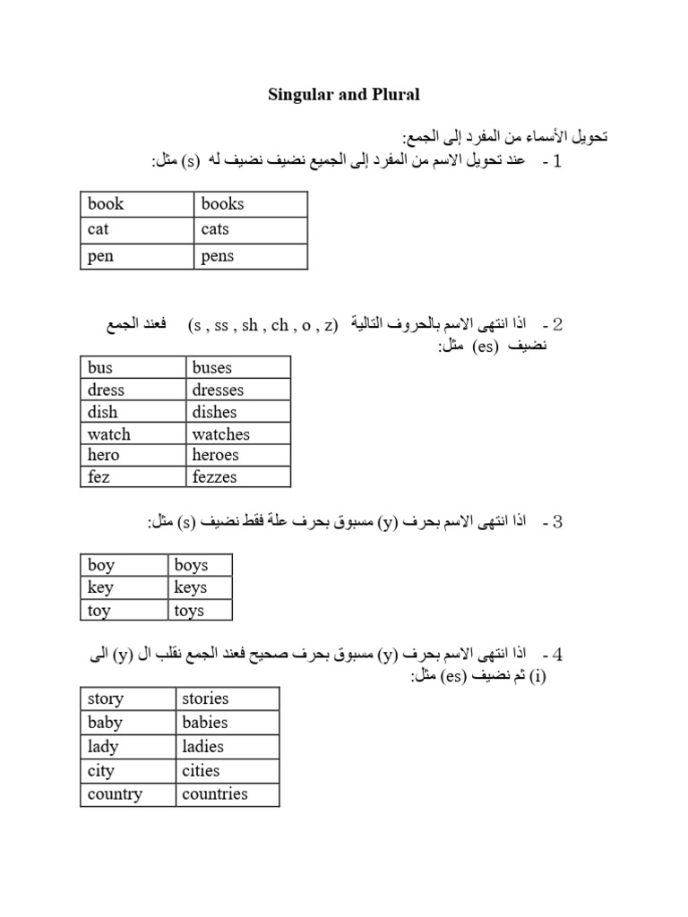 Singular and Plural | PDF