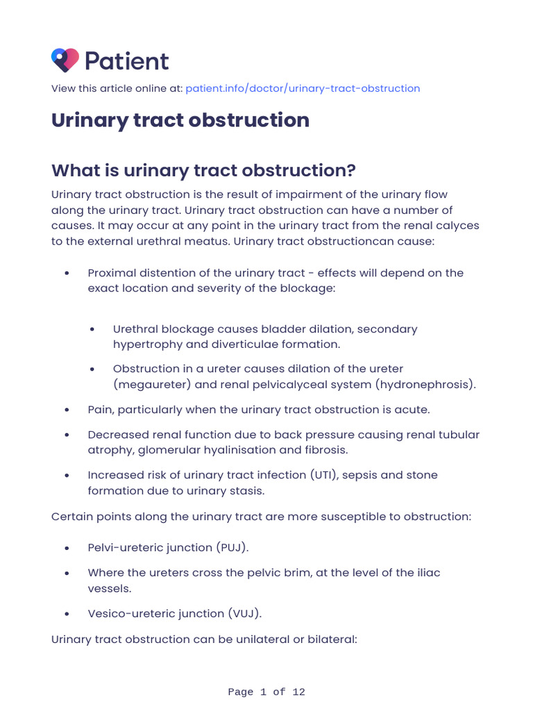 Patient - Urinary Tract Obstruction | PDF | Urinary System | Urology