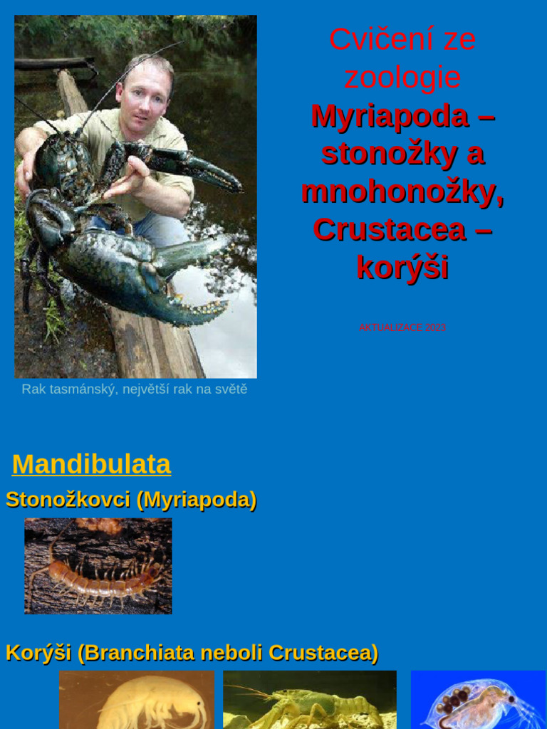 06.Cv06ZOO-Myriapoda Pancrustacea Crustacea Sensu Lato 2023 | PDF