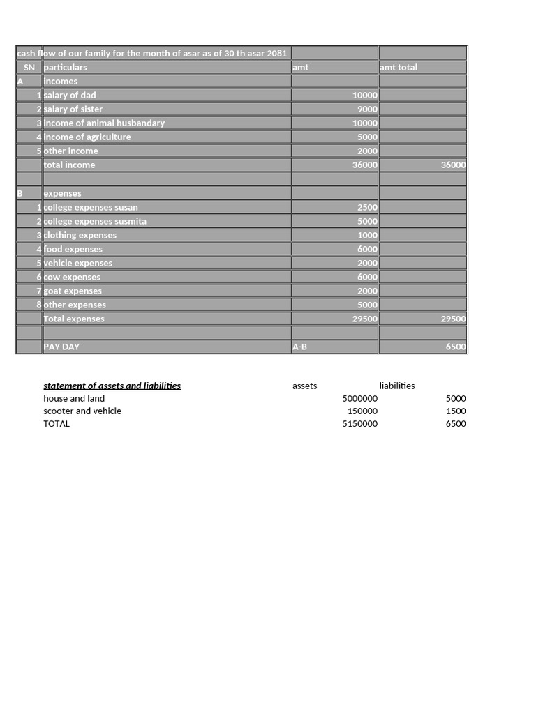 Cash Flow Statement of Our Home | PDF
