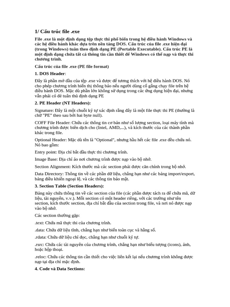 Cấu trúc file .exe | PDF
