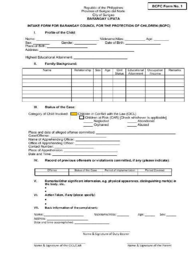 Intake Form | PDF