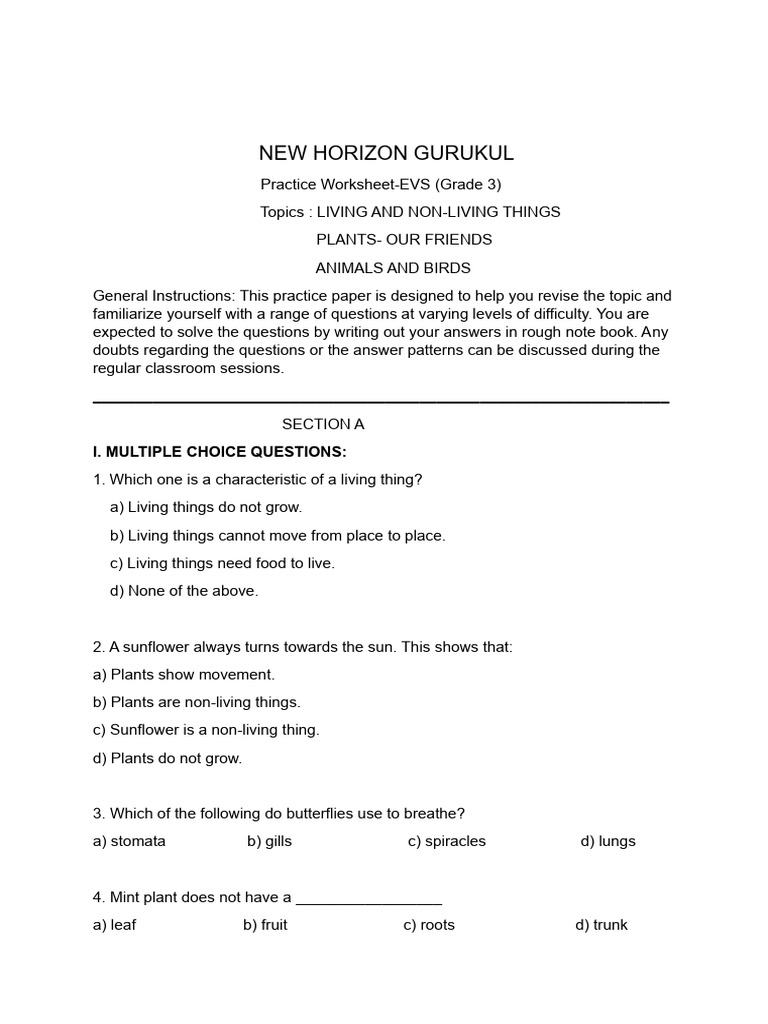 JANUARY - WORKSHEET - Gr3 - Doc | PDF | Leaf | Foods