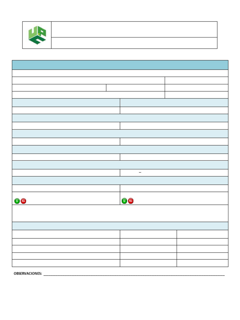 Formato Inf. Gral. Practicante para Entregar A IE | PDF