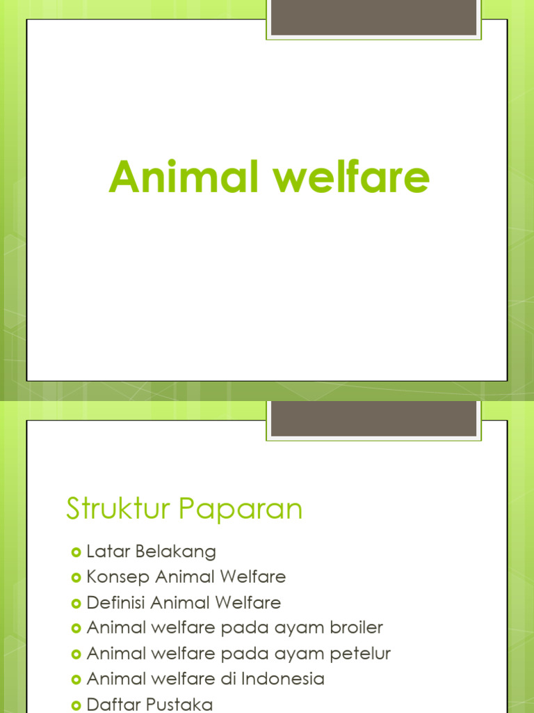 Poultry Welfare Insights | PDF | Broiler | Animal Welfare