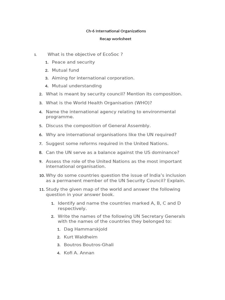 Overview of Key International Organizations | PDF