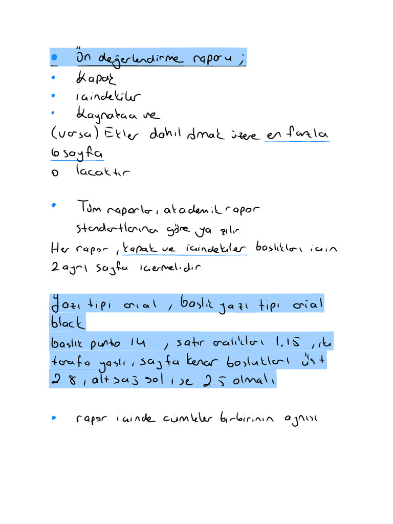 Proje Rapor Düzeni | PDF