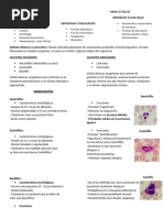 Diff Quik | PDF | Tinción | Biología Celular)