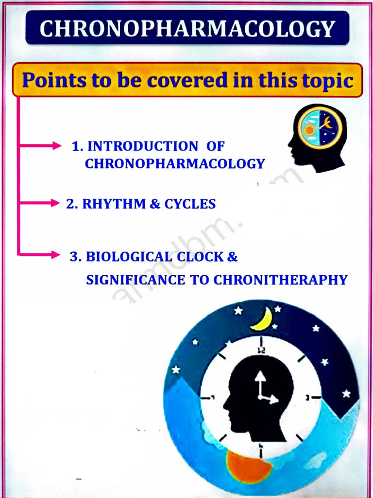 Lifecycle of Rhythm and Chronotherapy | PDF
