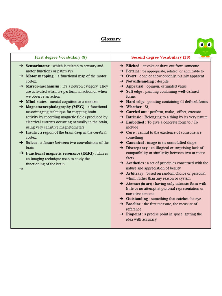 GLOSSARY - Neuroaesthetics | PDF | Magnetoencephalography | Brain