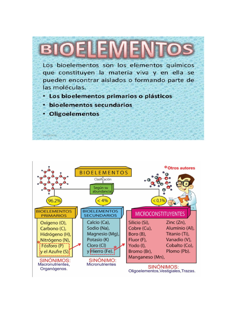 BIOELEMENTOS =CLASIFICACION Y FUNCION^ | PDF | Acero | Tungsteno