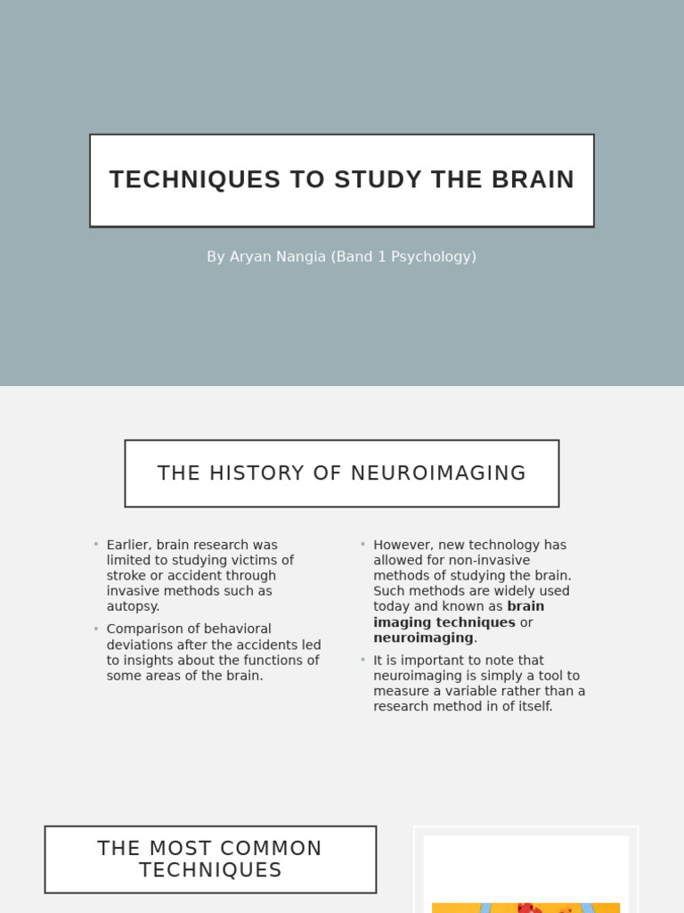 Brain Scanning Techniques - Neuroimaging | PDF | Neuroimaging ...