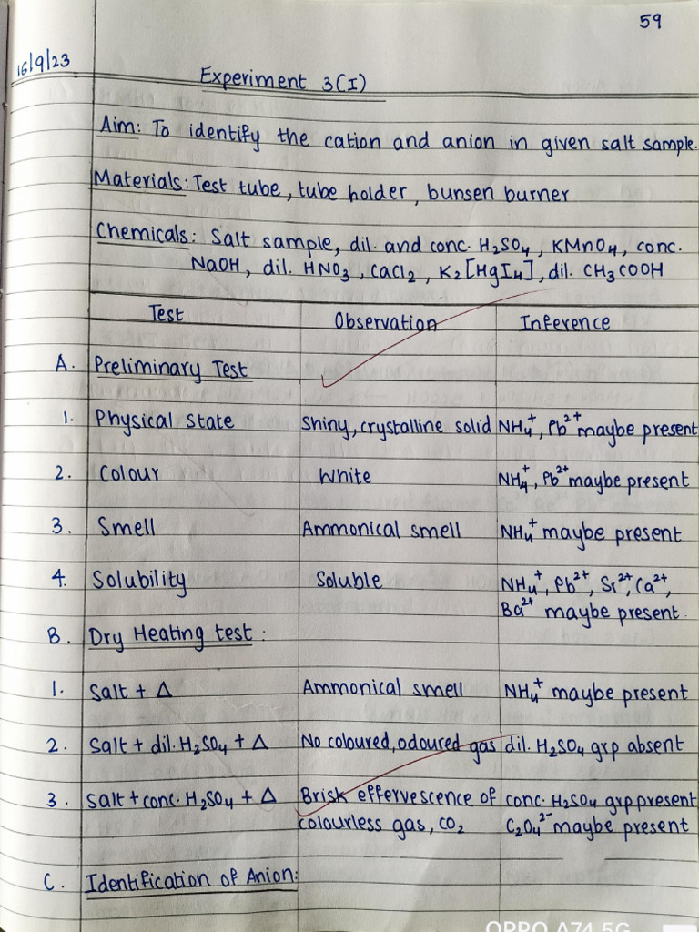Salt Analysis: NH4 and Oxalate Identification | PDF | Salt (Chemistry ...