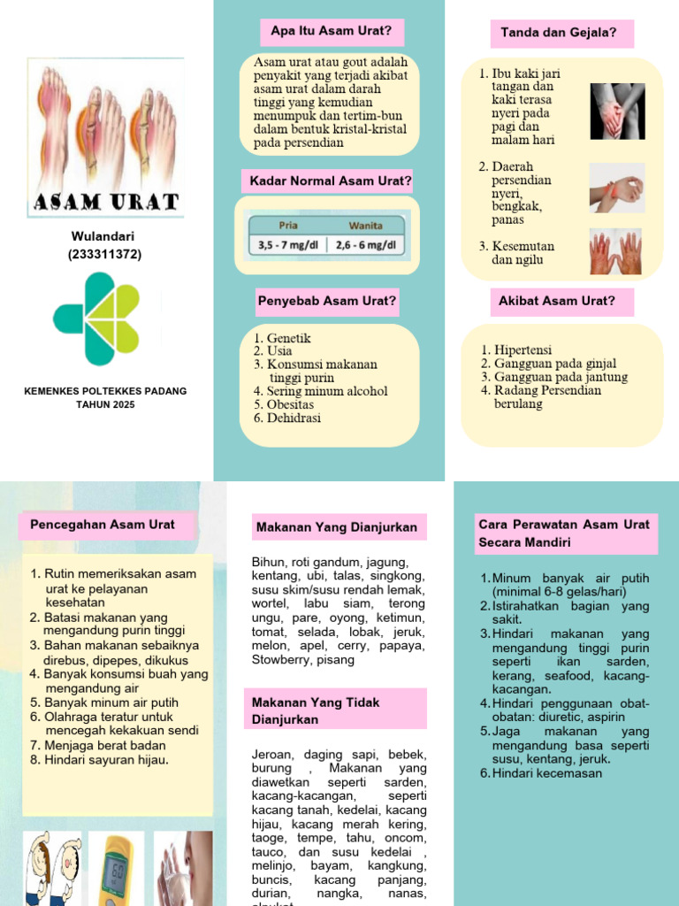 Leaflet Asam Urat PDF | PDF