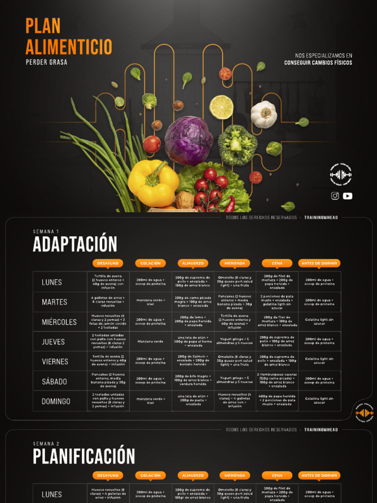 Plan Alimenticio | PDF