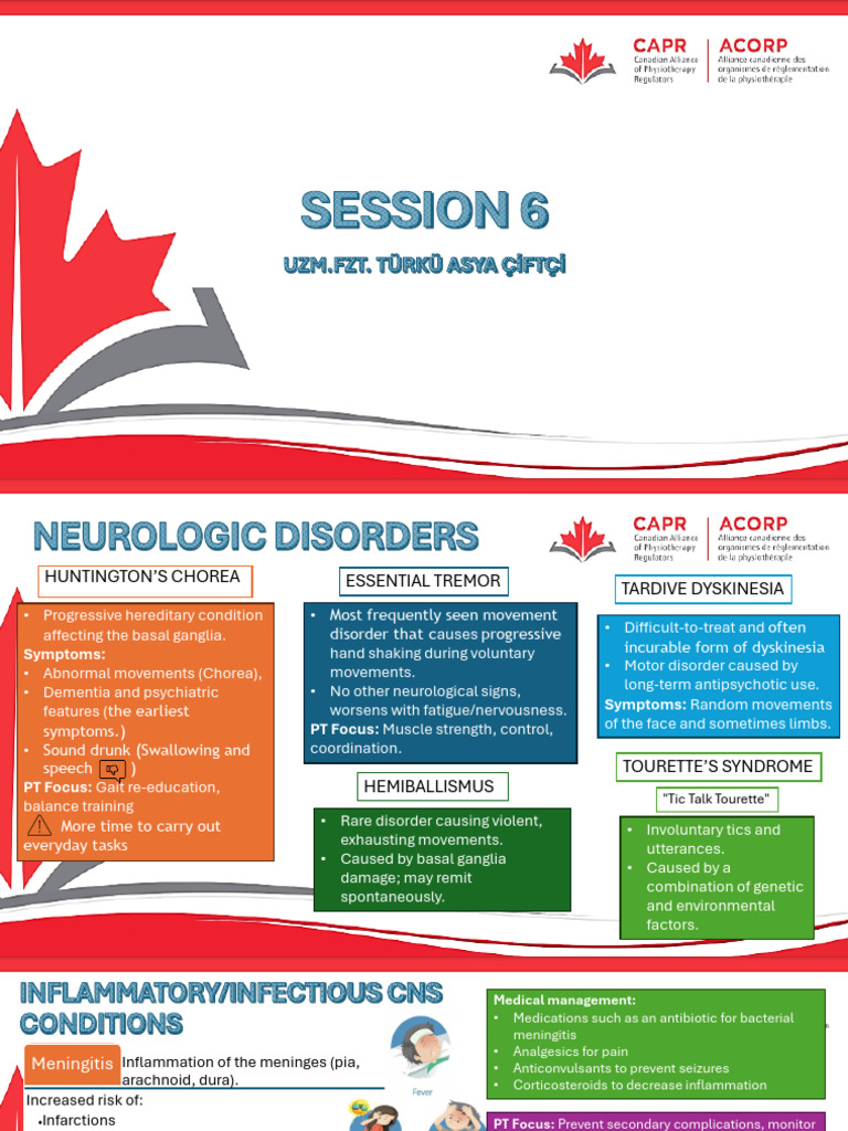 Session 6 | PDF | Vertigo | Vestibular System