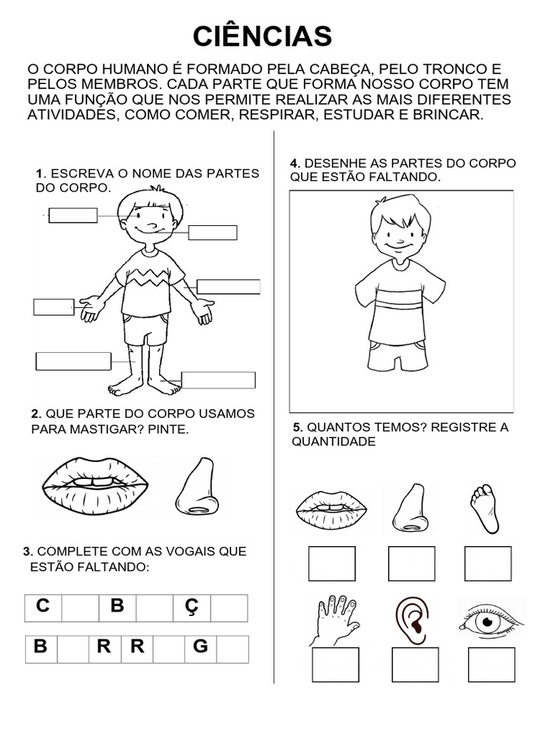 Corpo Humano - 27 - 02 Cien | PDF