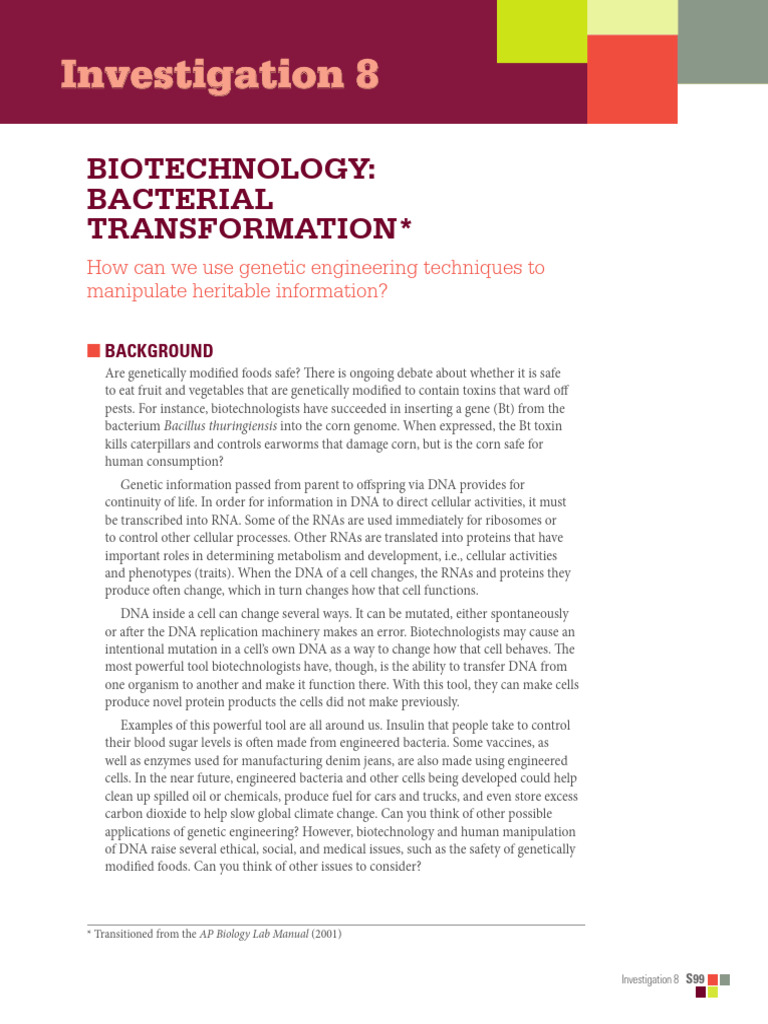 Investigation 8 Biotechnology Bacterial Transformation | PDF | Genetics ...