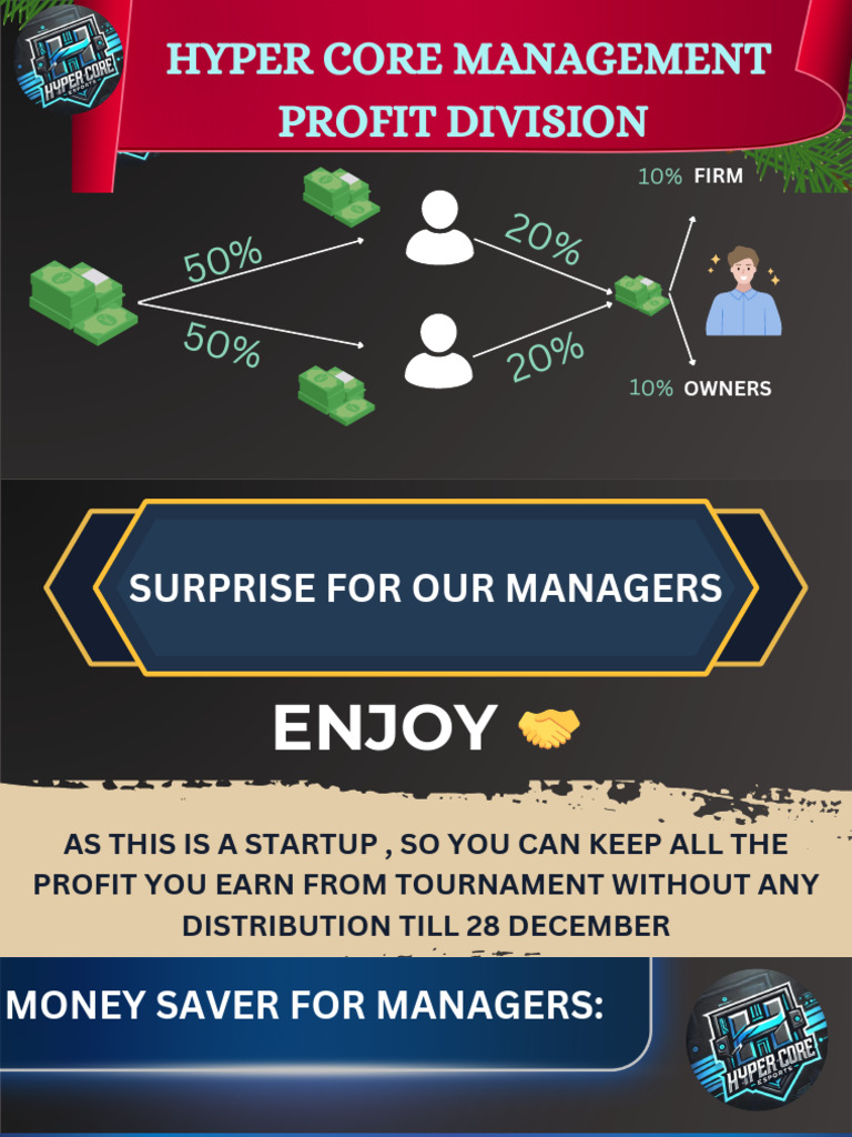 HC Profit and Surprise | PDF