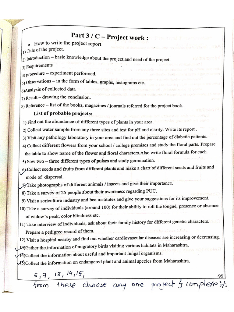 12th Project PDF | PDF