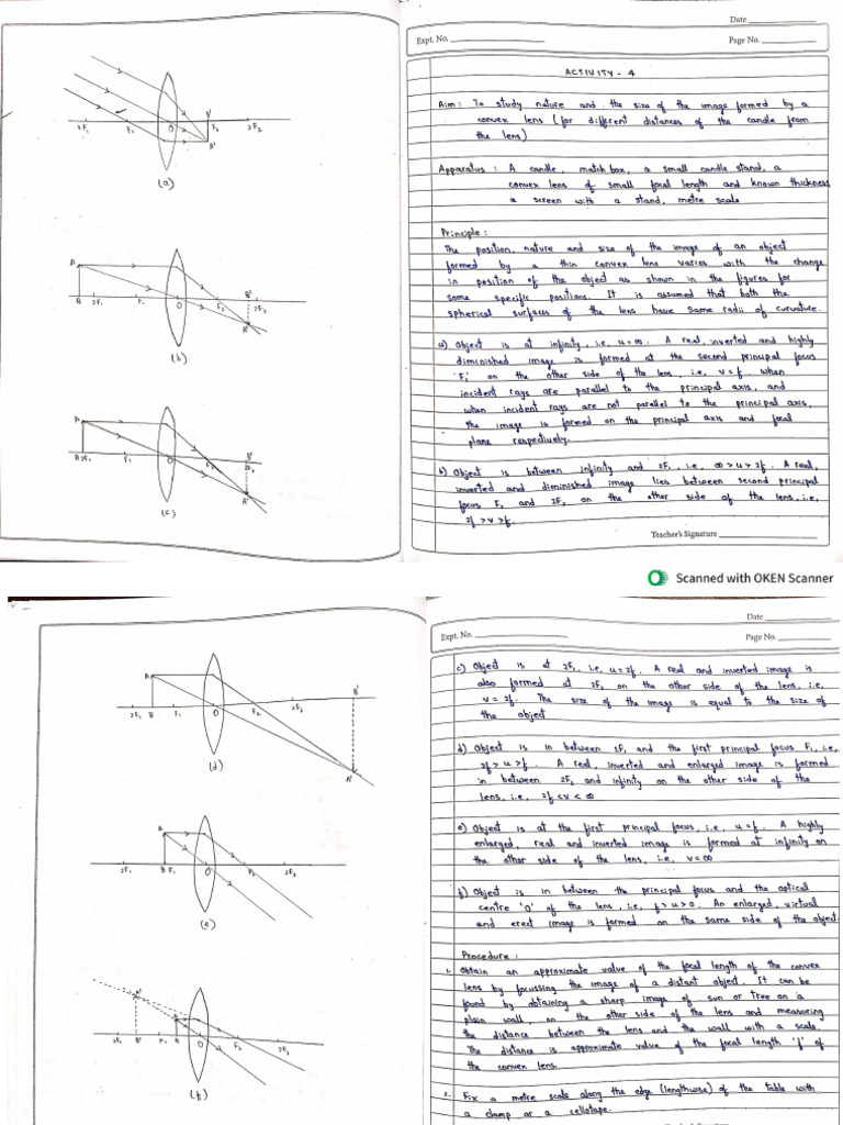 Phy Activity 4 | PDF