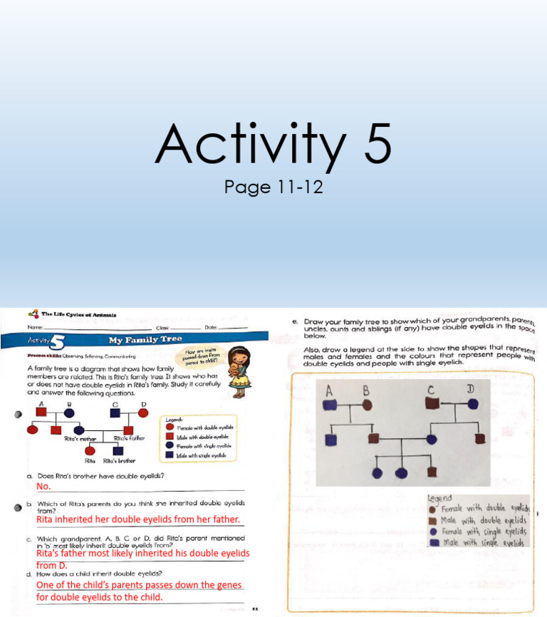 Chapter 1 Activity 5 (1) | PDF