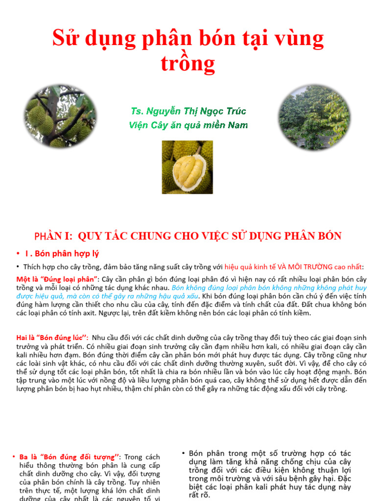 S D NG Phân Bón T I Vùng TR NG | PDF
