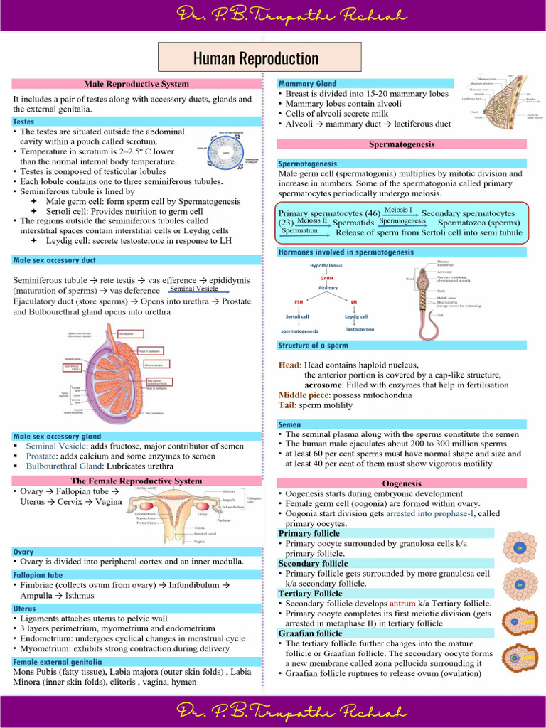 Human Reproduction | PDF