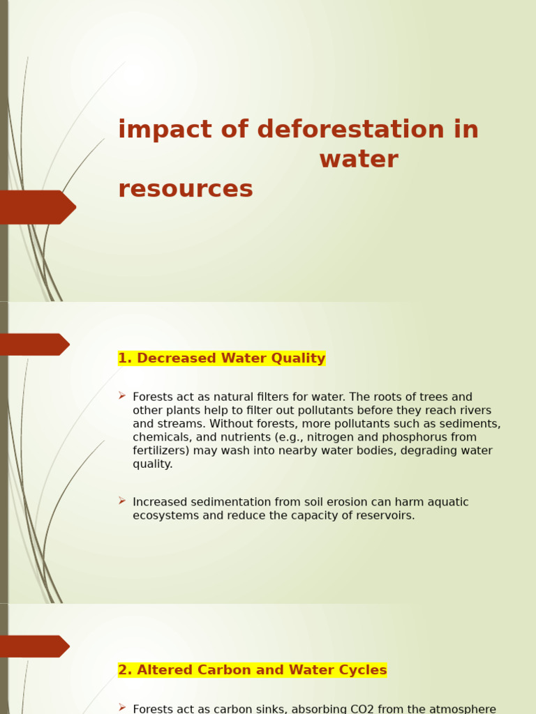 Deforestation's Impact on Water Resources | PDF | Water | Surface Runoff