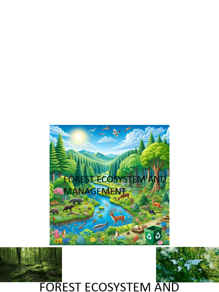 Forest Ecosystem PPT Part 1 | PDF | Ecosystem | Forests