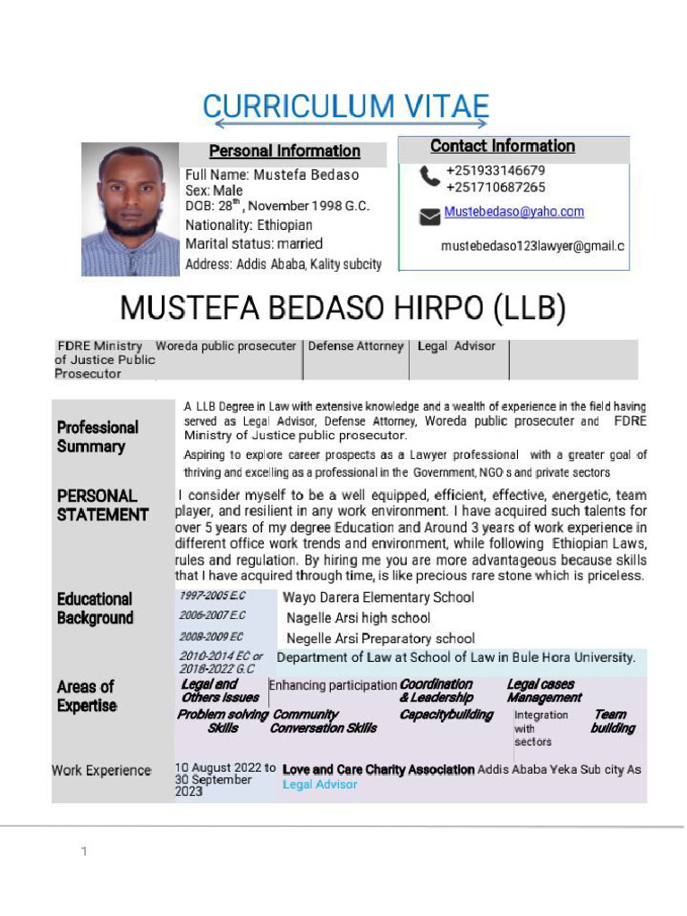 Mustefa - Experience and Credentials | PDF
