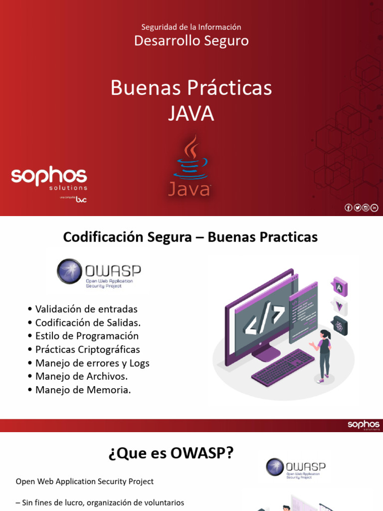 Desarrollo Seguro - buenas practicas JAVA | PDF | ciberespacio | Informática