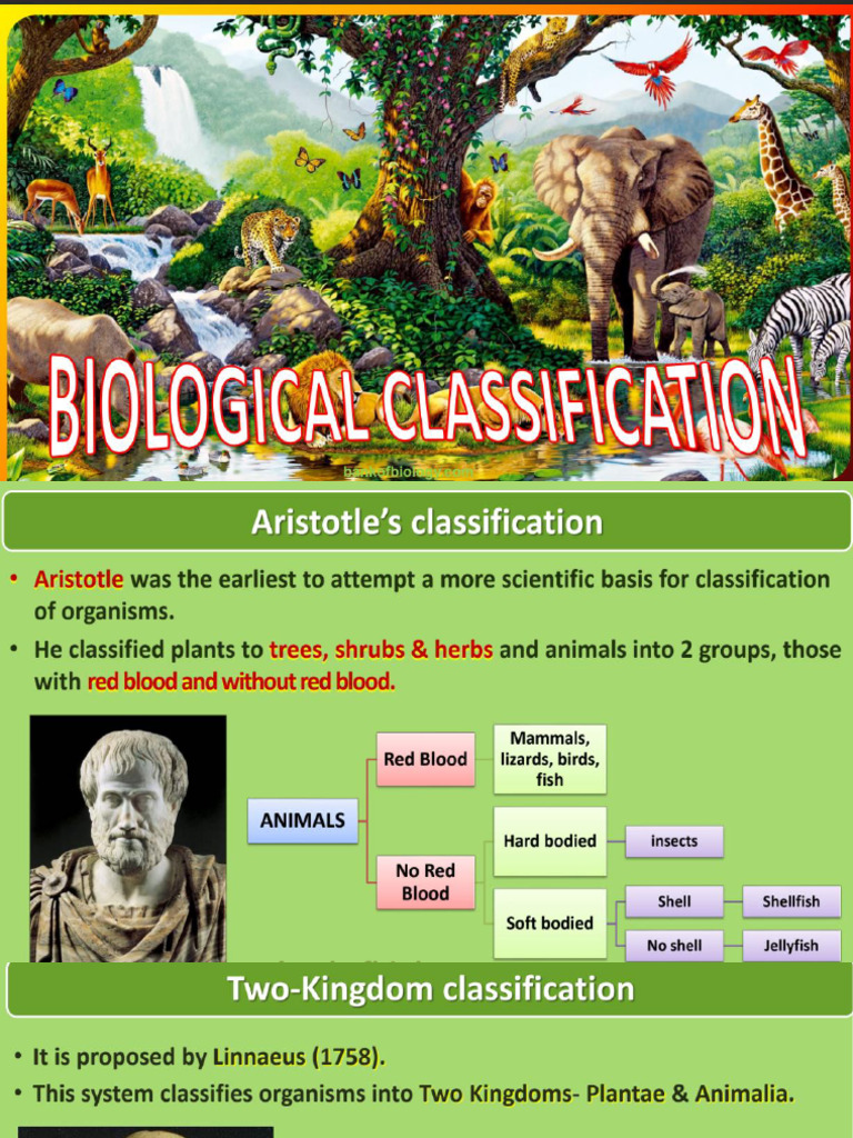 Biological Classification | PDF