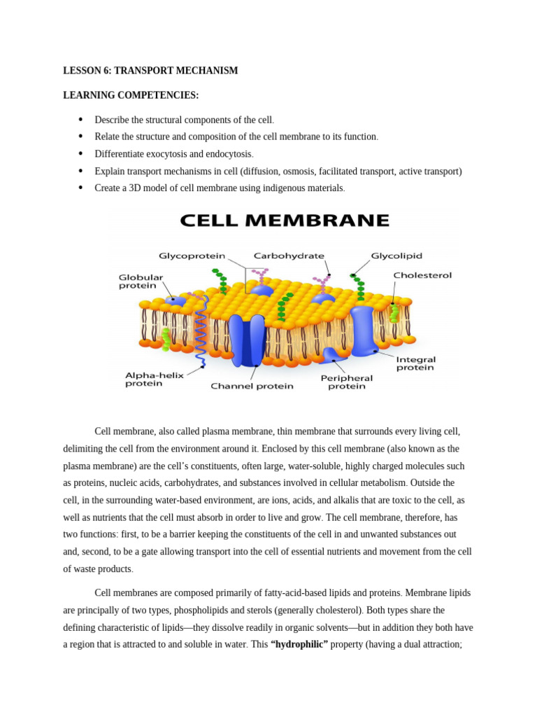 Transport-Mechanism | PDF | Cell Membrane | Osmosis