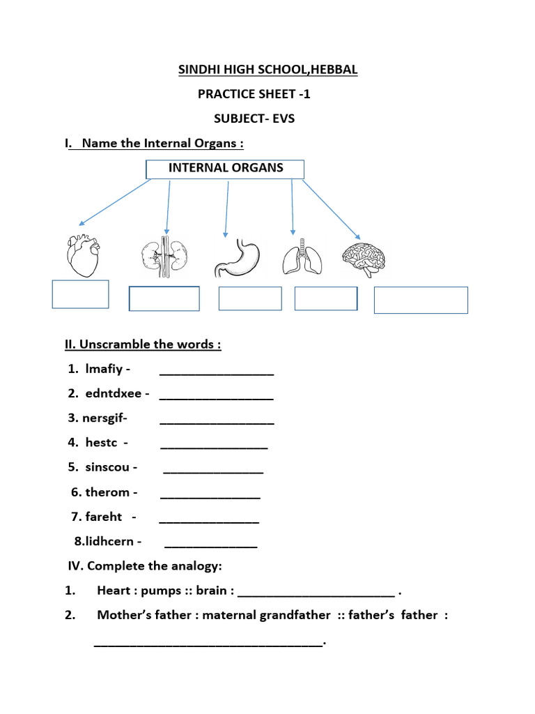 Sindhi Class 1 EVS WS 1 | PDF