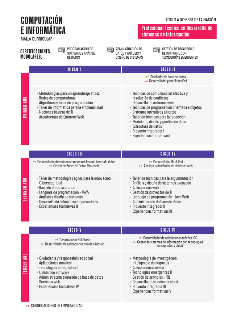 malla-curricular-computacion-e-informatica-5- | PDF | Aplicación movil | Software de la aplicacion