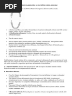 Linea de Fulcrum | PDF
