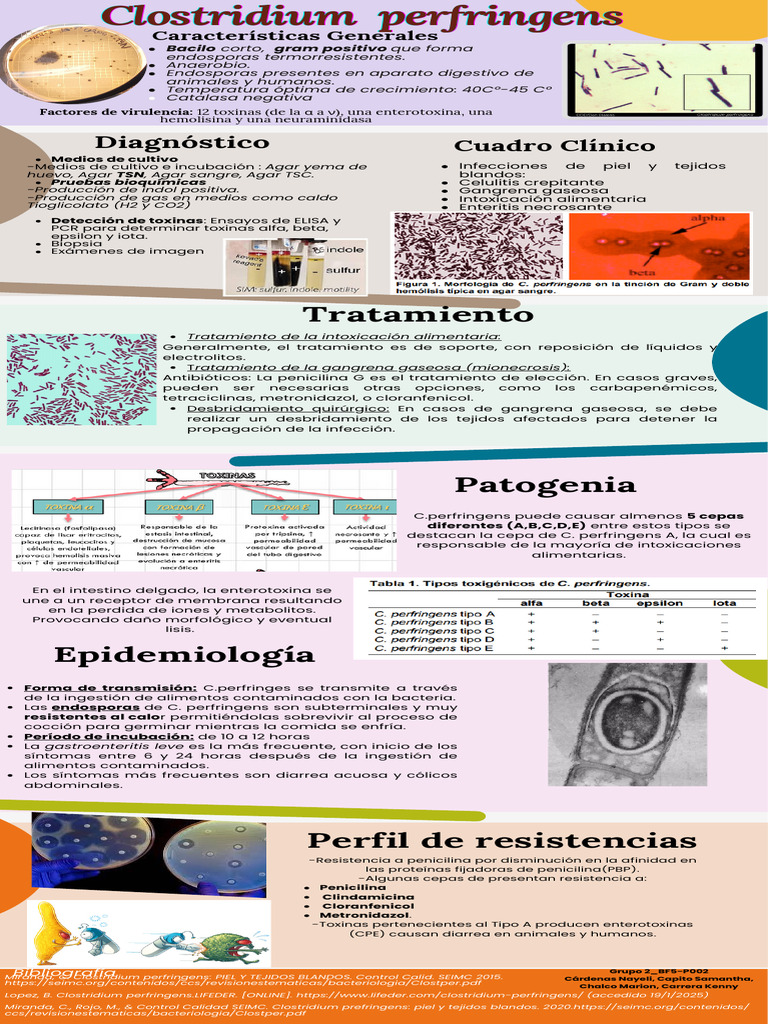 Intoxicación por Clostridium perfringens | PDF | Enfermedades y ...