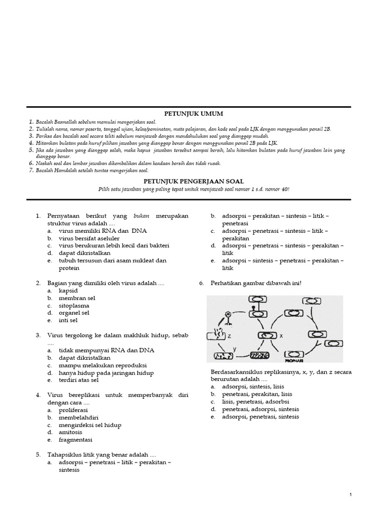 Biologi - Soal Pas 10 Kumer | PDF