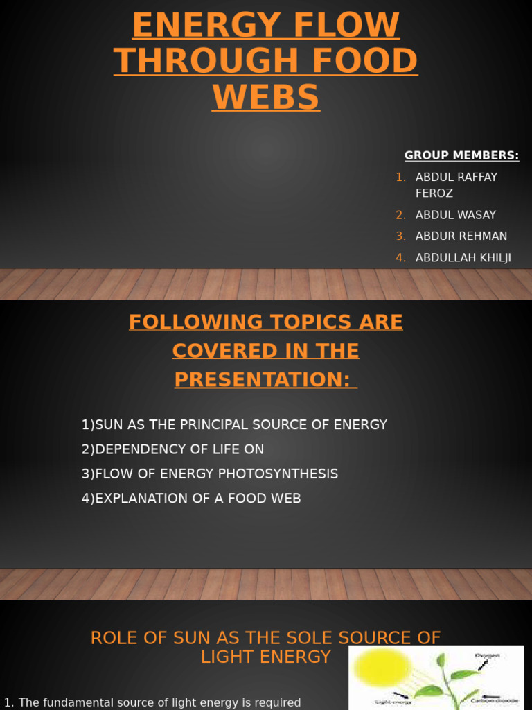 Energy Flow Through Food Webs-1 | PDF
