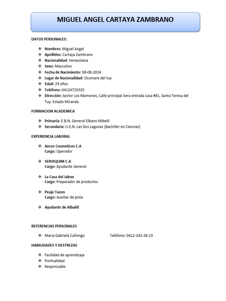 Perfil Laboral de Miguel Cartaya | PDF