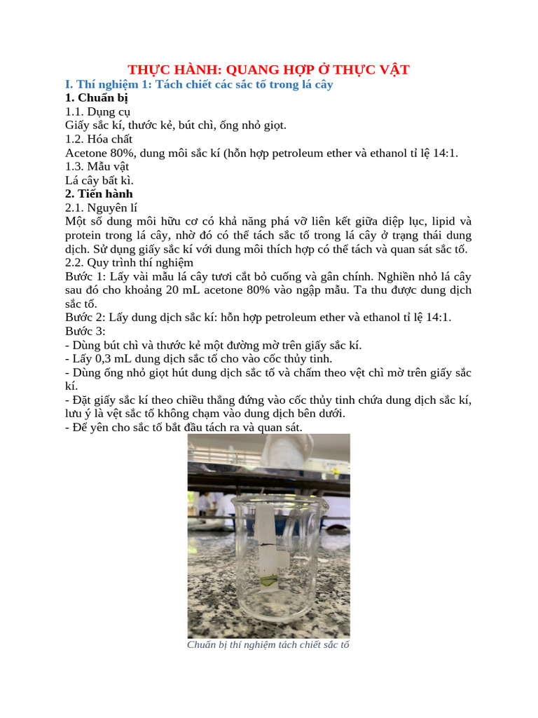 Thực Hành Quang Hợp ở Thực Vật | PDF