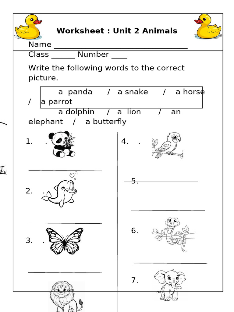 Worksheet Unit 2 Animals | PDF