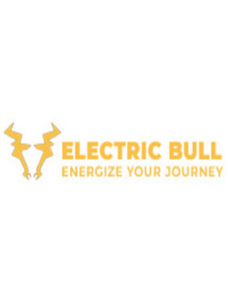 Electric Bull LLC | PDF
