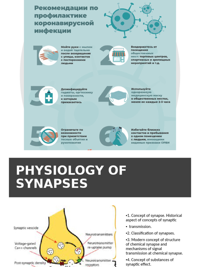4. Physiology of Synapses 2 | PDF | Chemical Synapse | Synapse