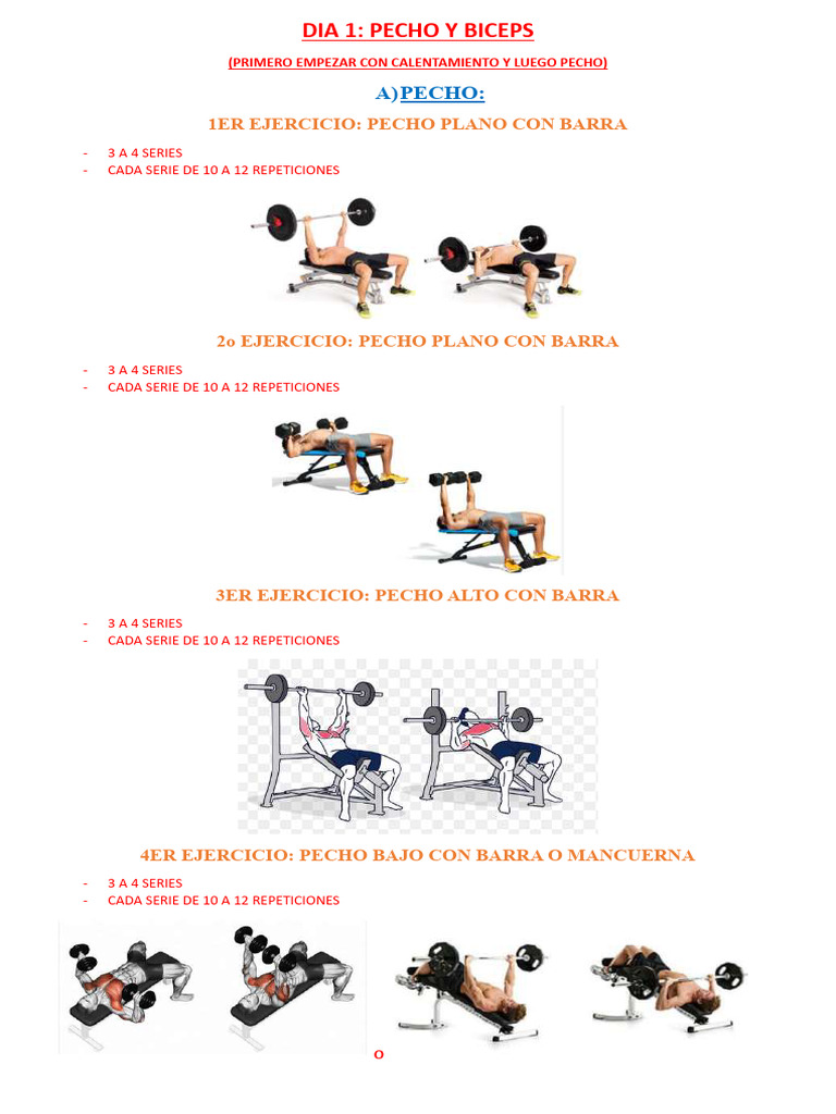 Dia 1 Pecho y Biceps | PDF