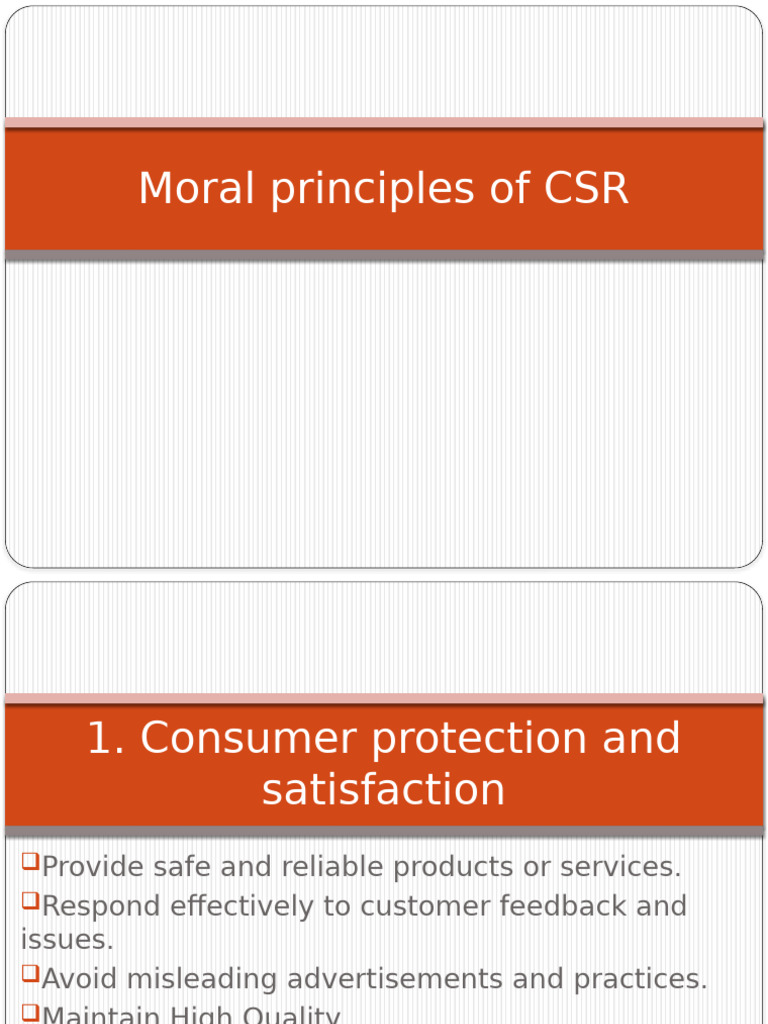 Moral Principles of CSR | PDF