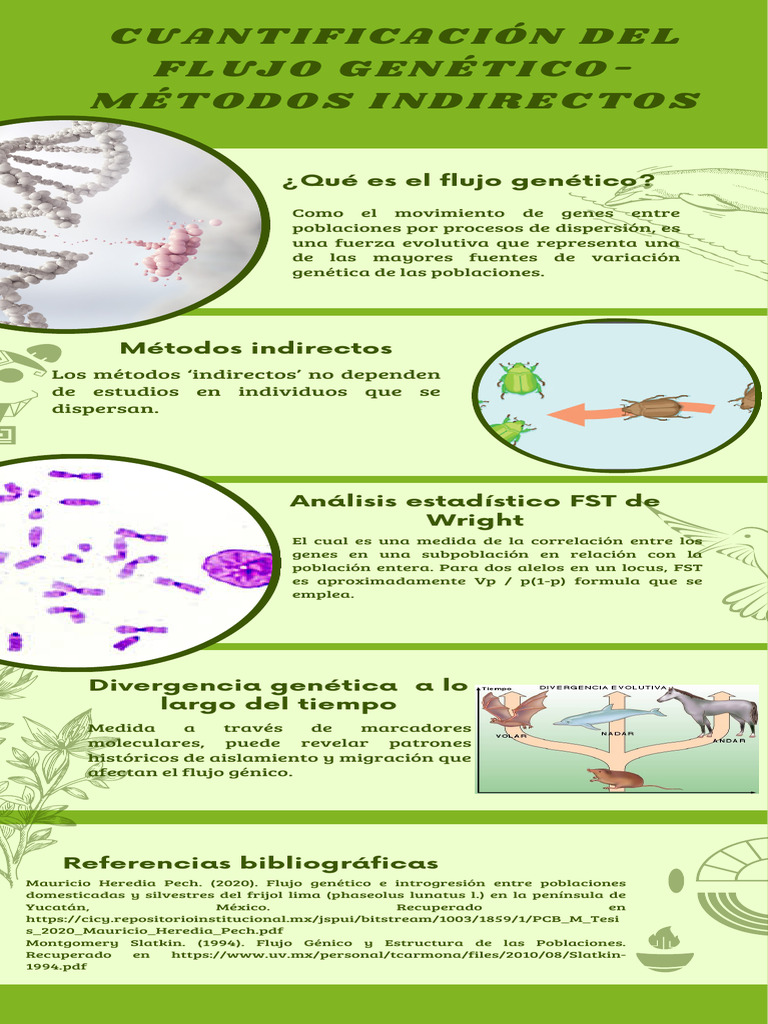 Infografico Cuantificación Del Flujo Genético - Métodos Indirectos | PDF