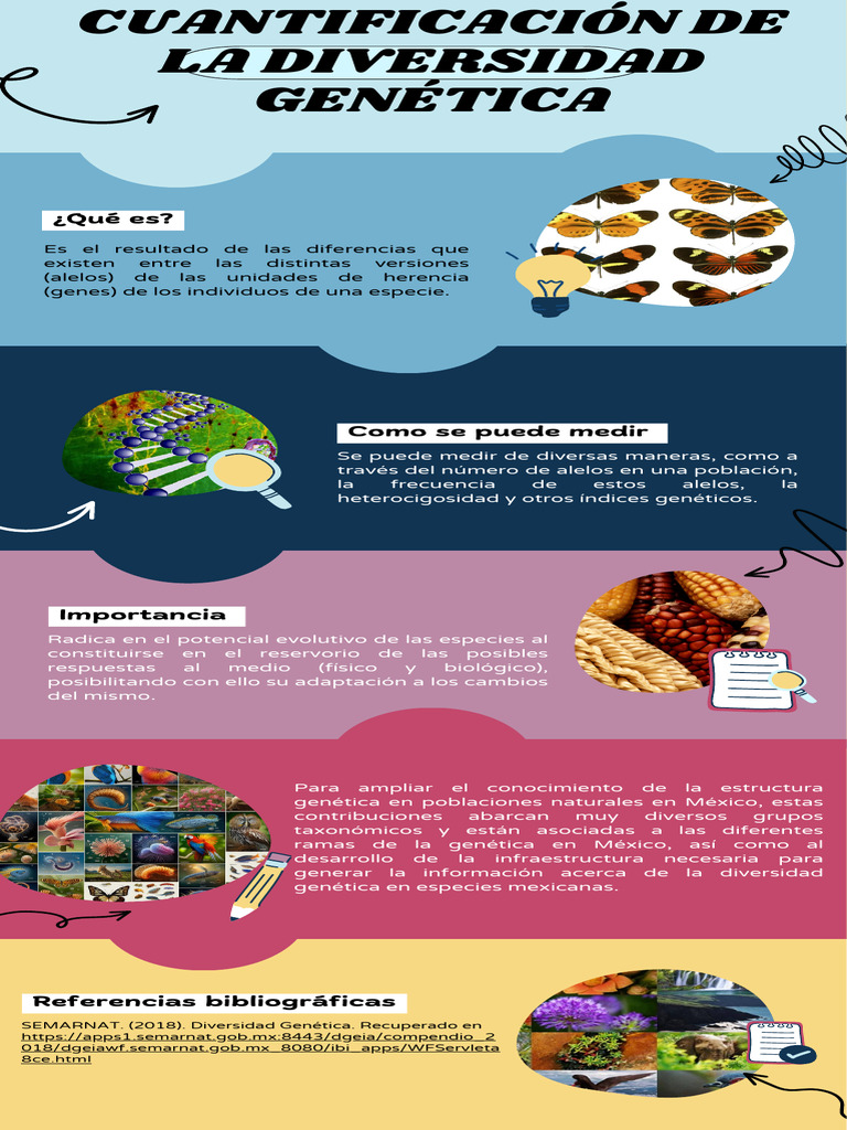 Infografía de Cuantificación de La Diversidad Genética | PDF