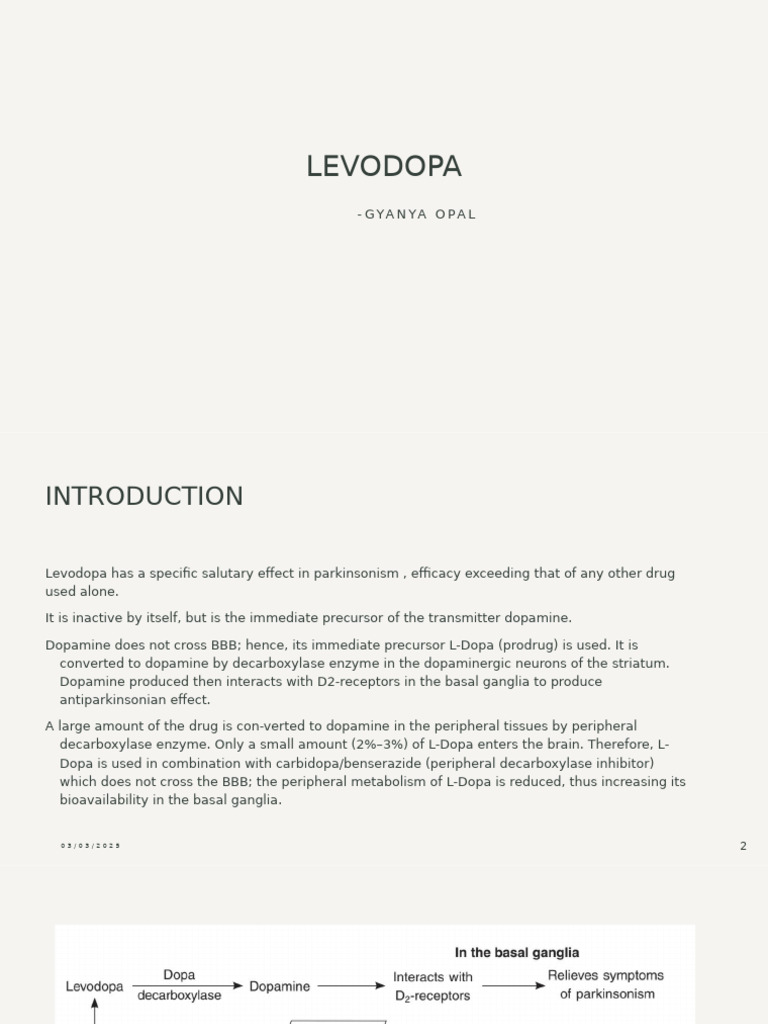 Levodopa: Parkinson's Treatment Overview | PDF | Dopamine | Drugs